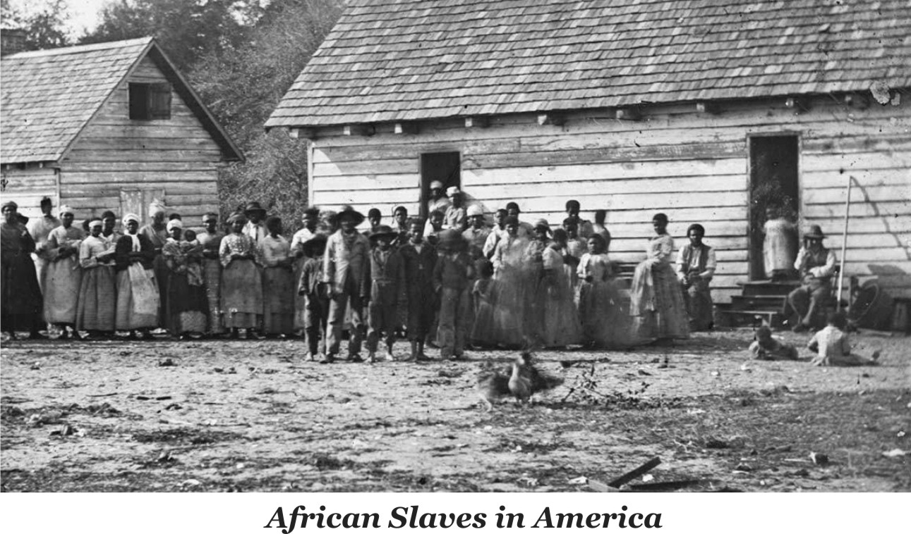 Borders Literature Online | Review of The Underground Railroad by ...